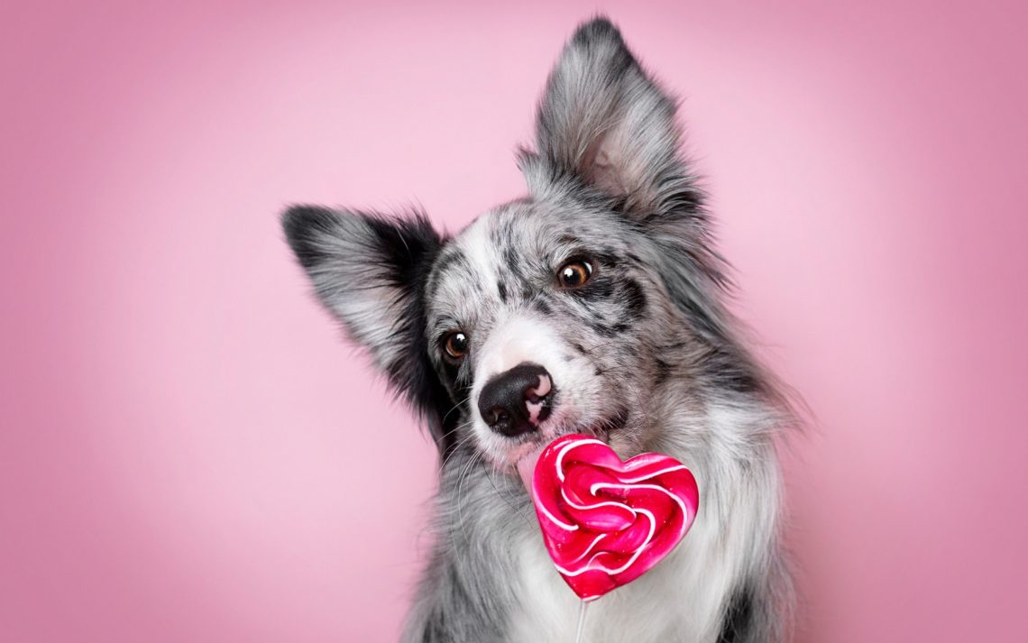 National Candy Day Photo Party - Lake Oswego