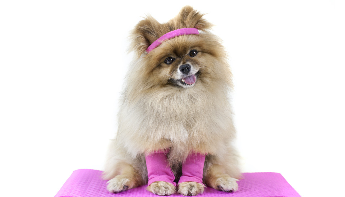 Jazzercise Photo Shoot! - Lake Oswego