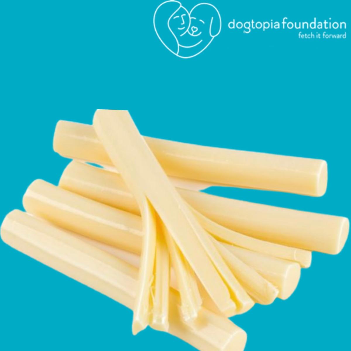 String Cheese Day - Lake Oswego