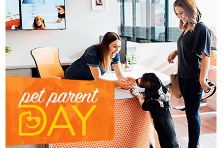 Pet Parent Day! - Port Chester