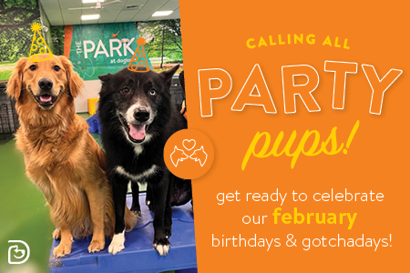 Birthday/Gotcha Party - Stamford-Downtown