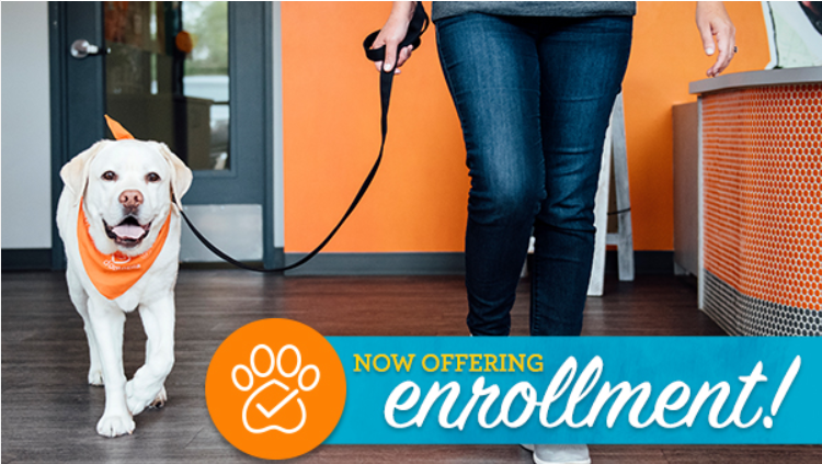 Founders/Enrollment Pup Day - Arlington Heights