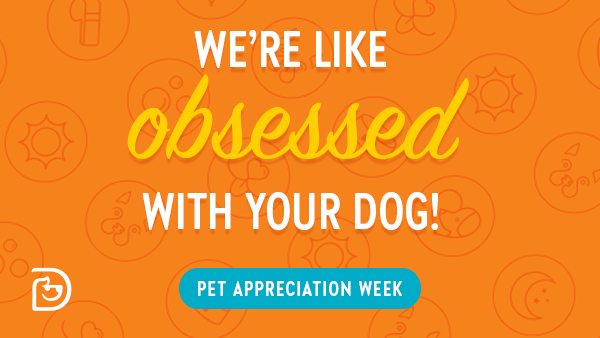 Pet Appreciation Week - Arlington Heights