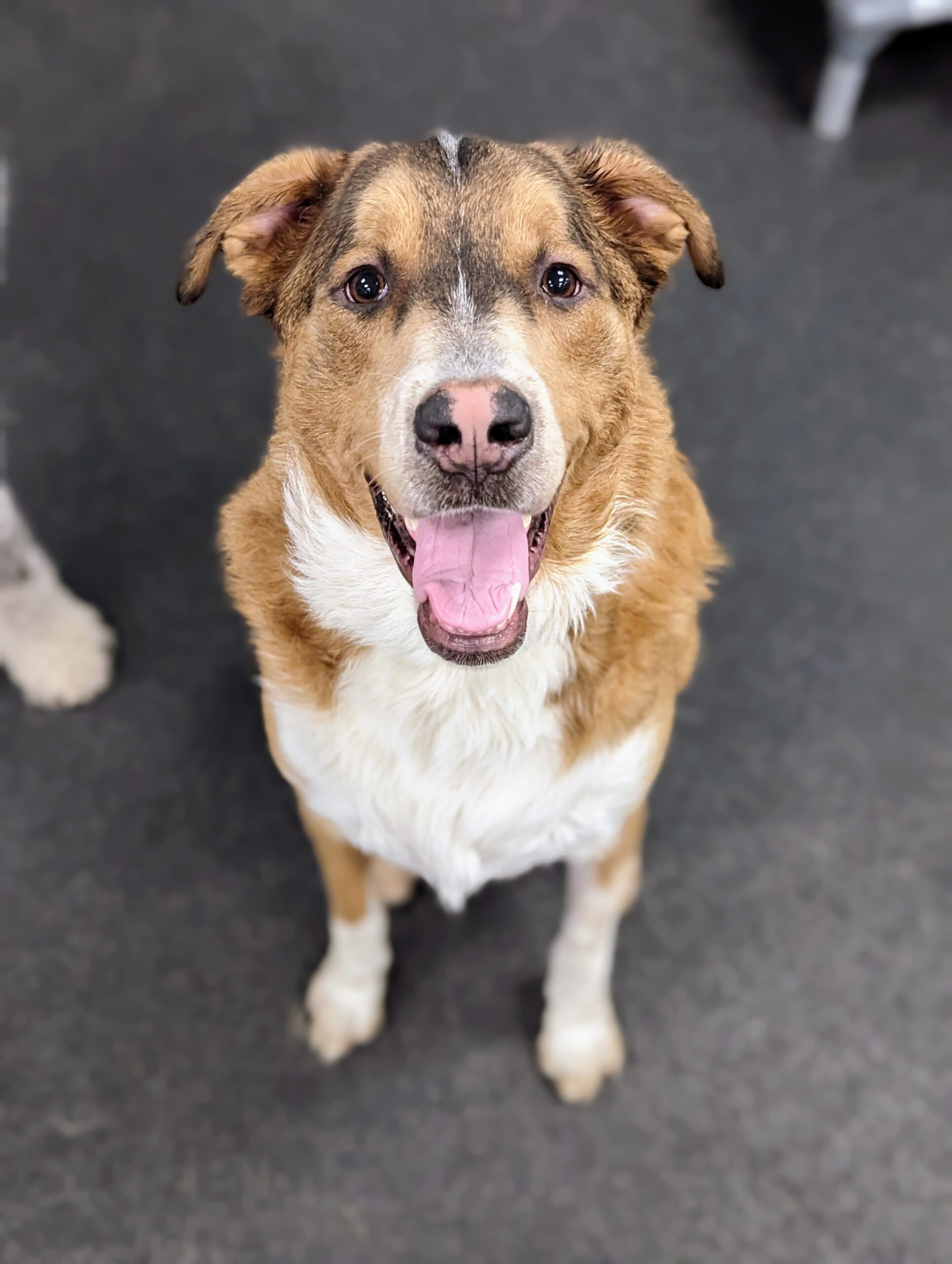 PB & J Day - Don Valley