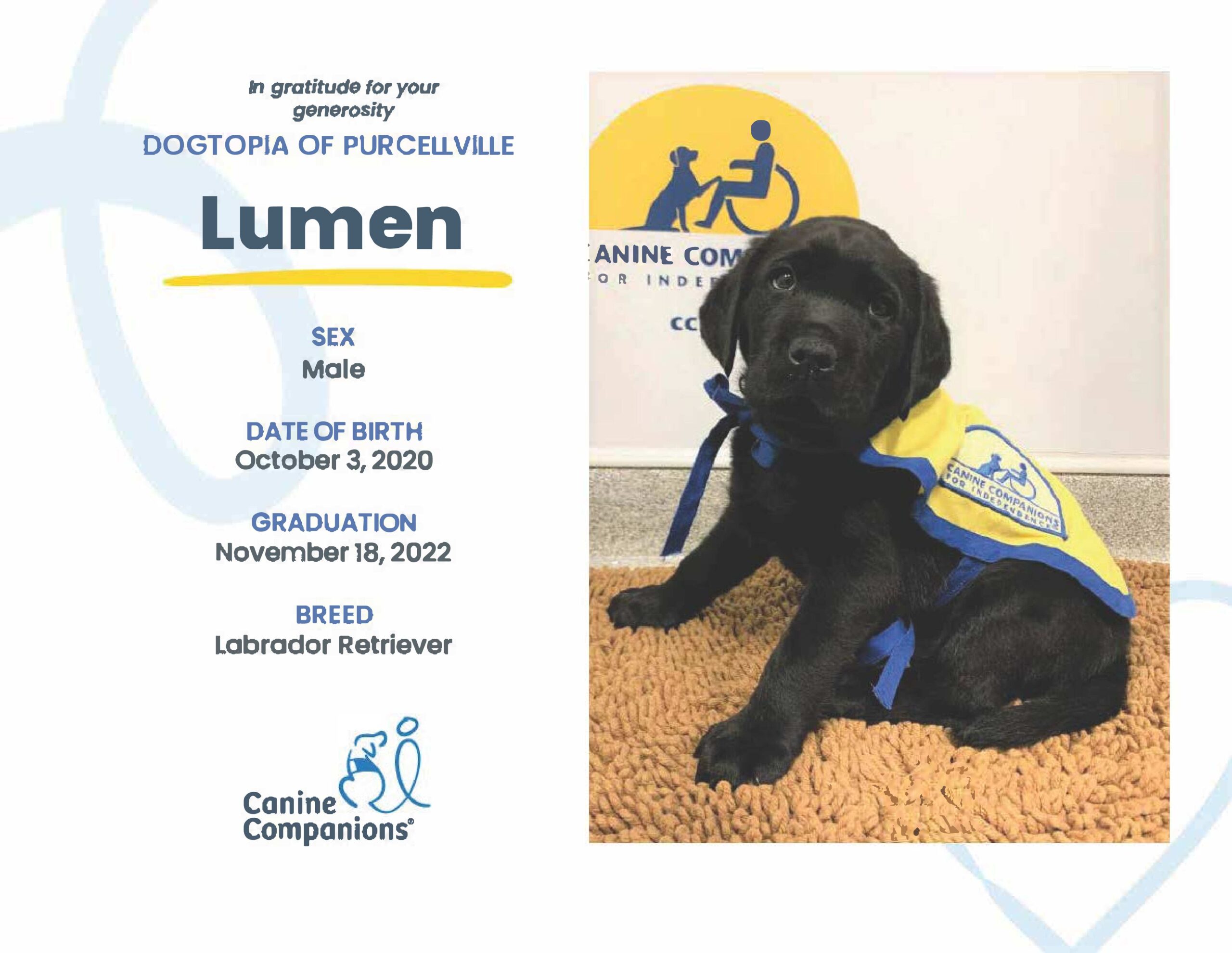 Lumen! - Purcellville