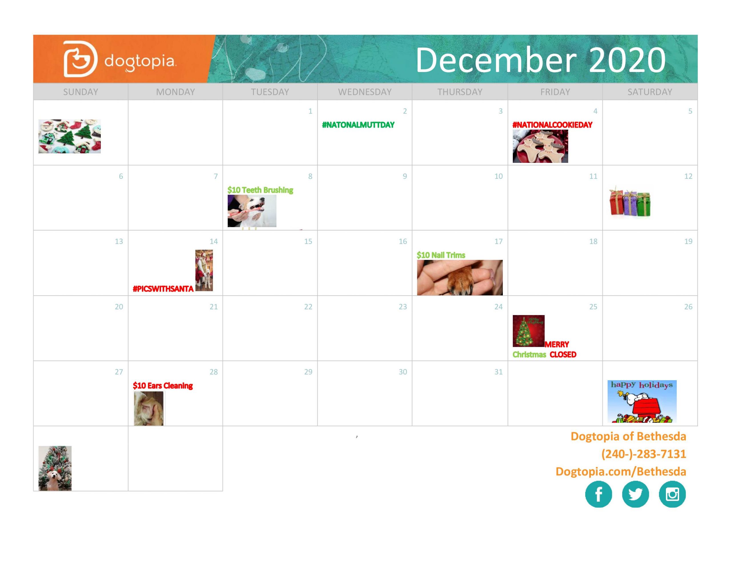 December Calendar - Bethesda