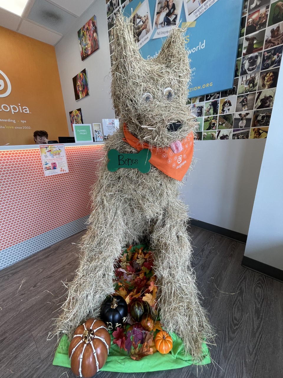 Scarecrow Photoshoot - Viera