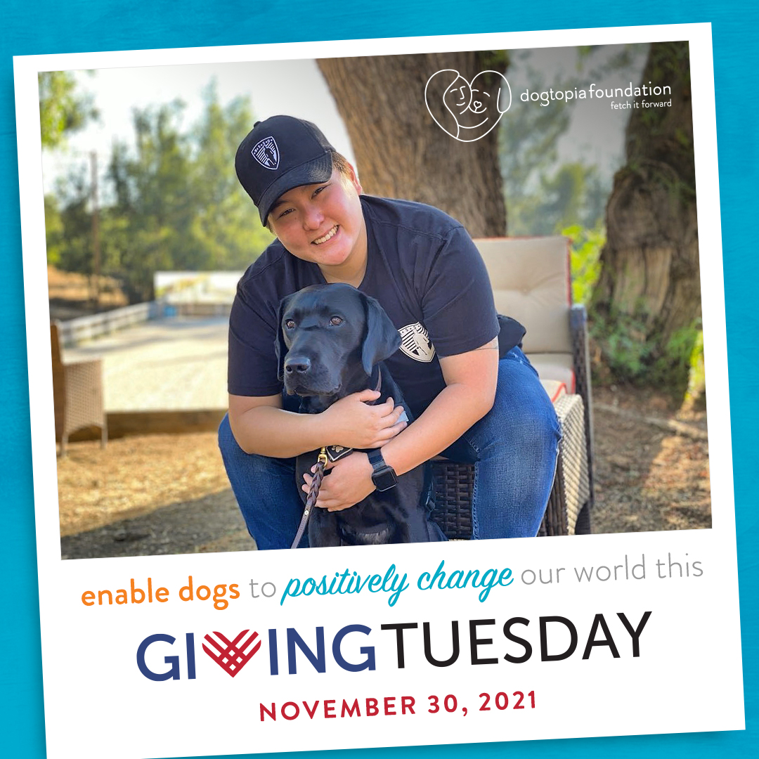 Giving Tuesday Spa Specials - Viera