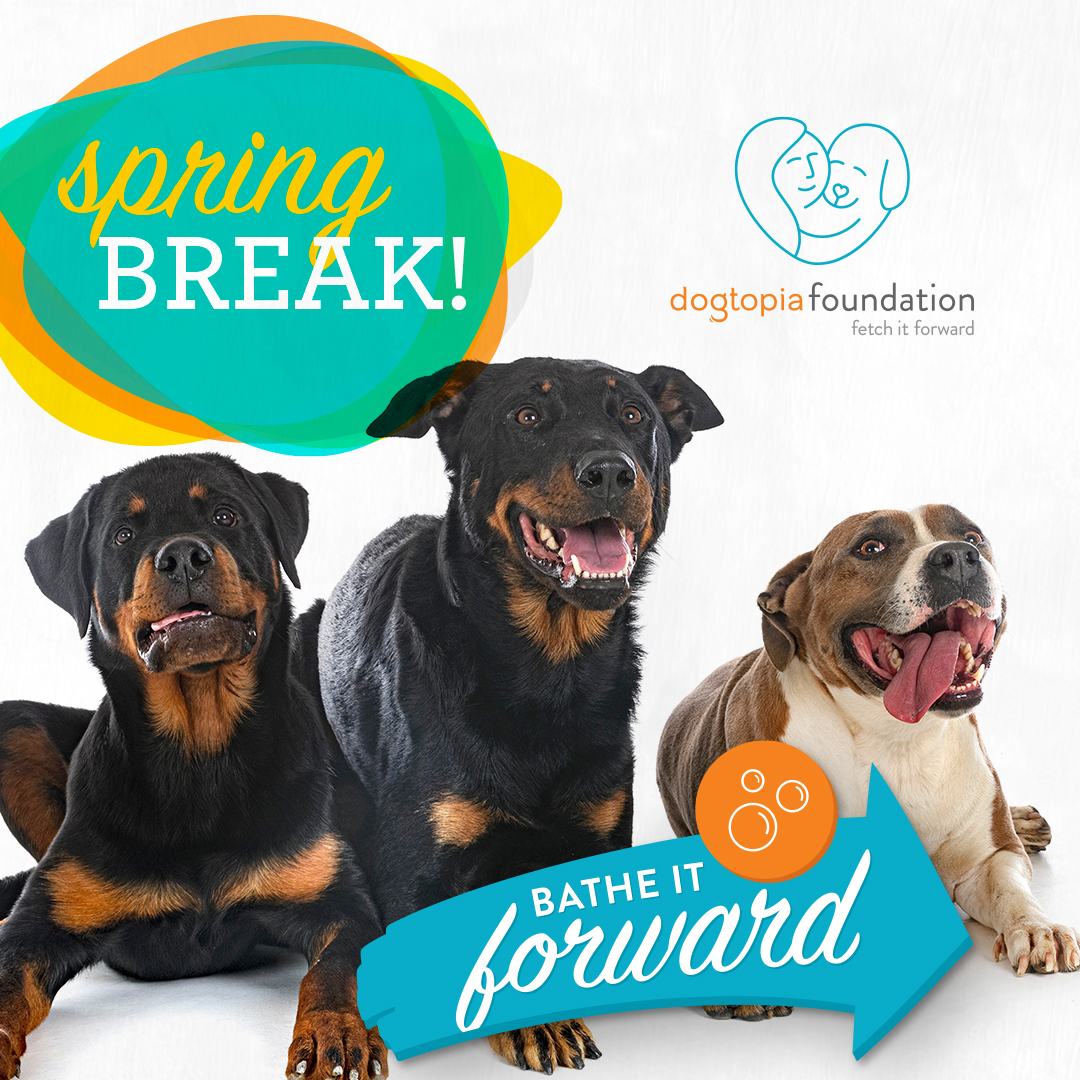 Spring Break-Bathe it Forward Spa Day - Viera