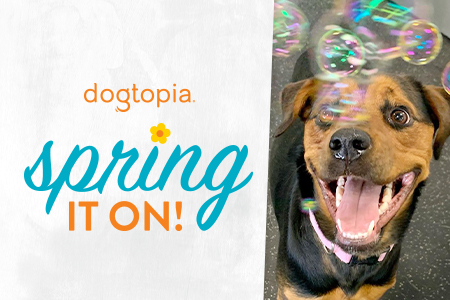 Easter Photos - Viera