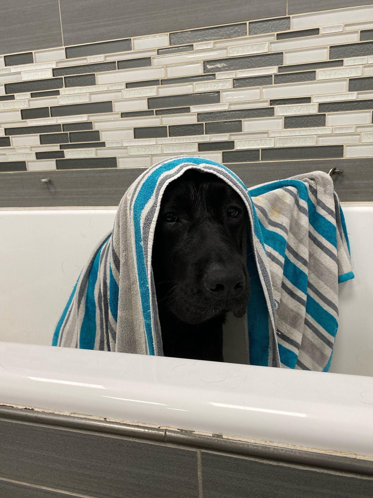 Bathe is Forward - Viera