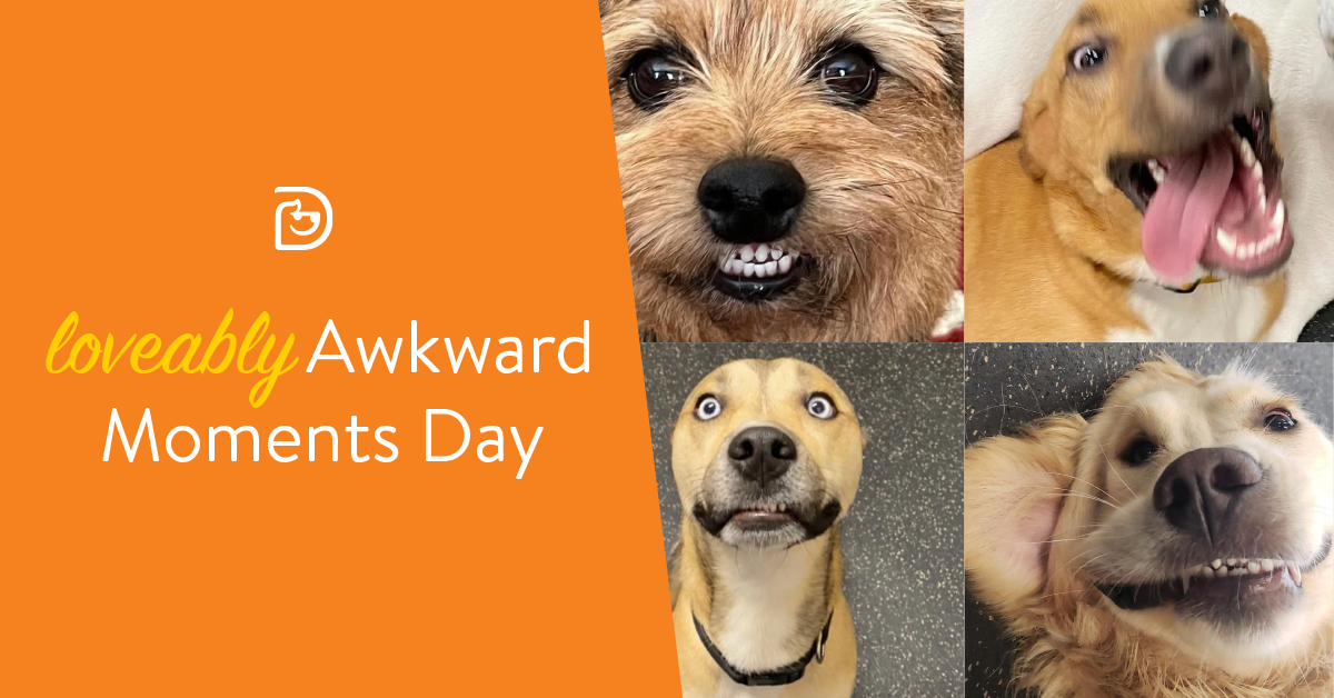 Awkward Moments Day - Viera