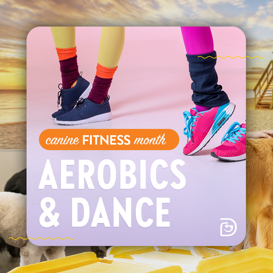 Aerobics and Dance - Viera