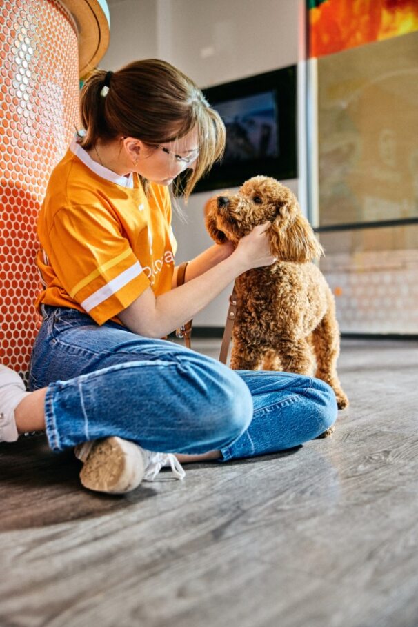 Introducing Yourself to Dogs Safely - Viera