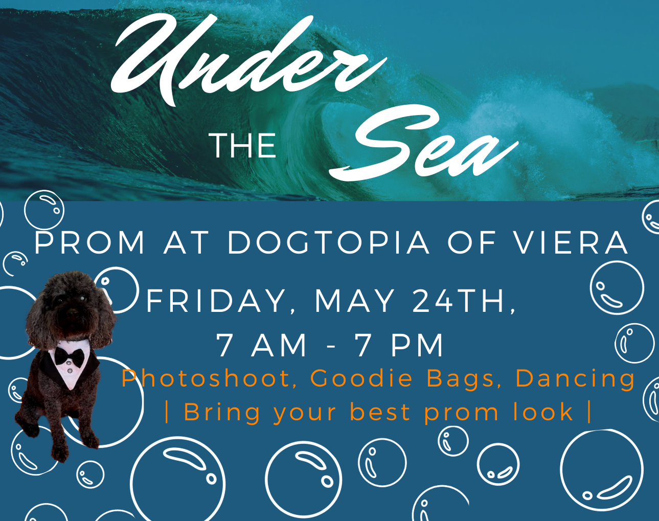 Under the Sea Dog Prom - Viera