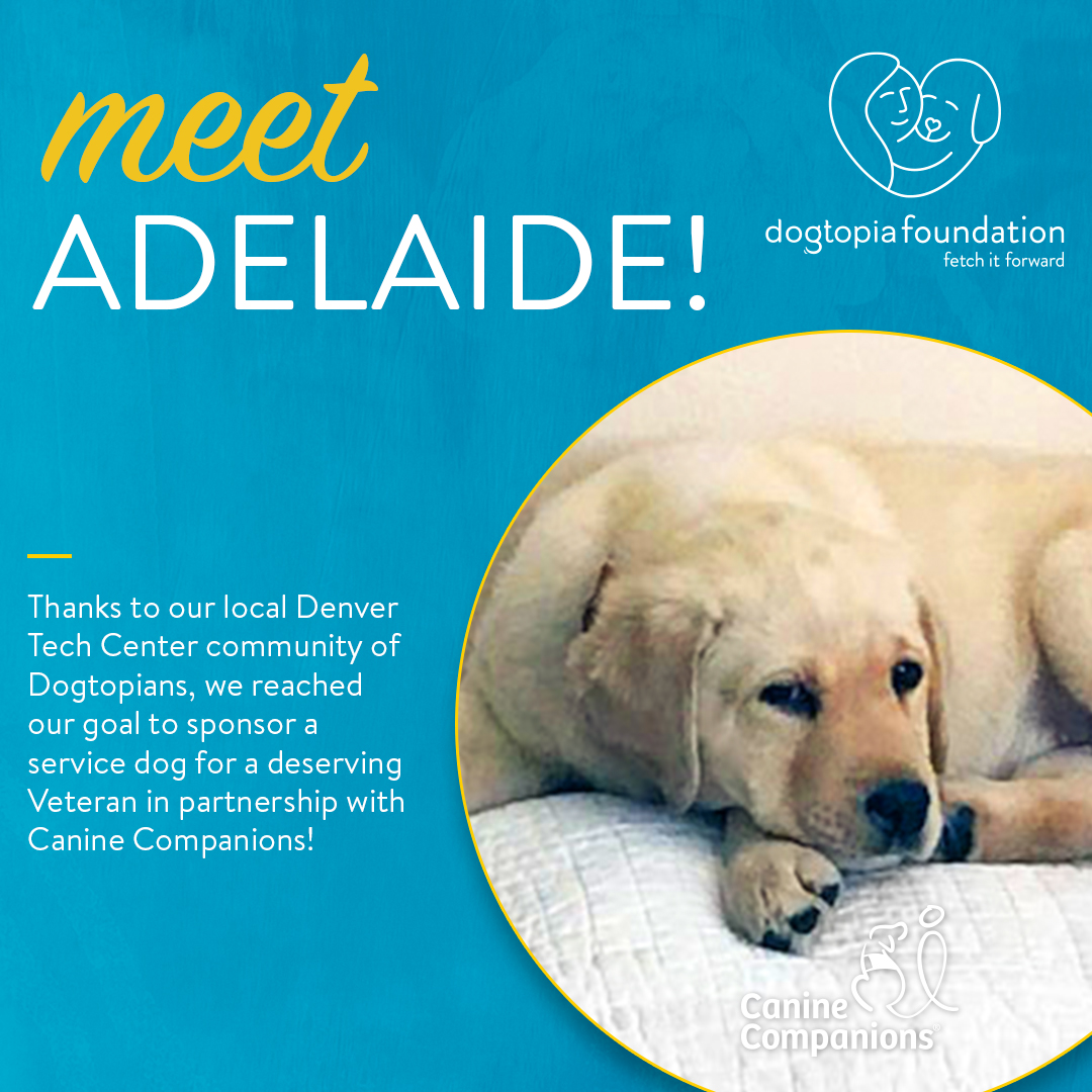 Adelaide - Denver Tech Center