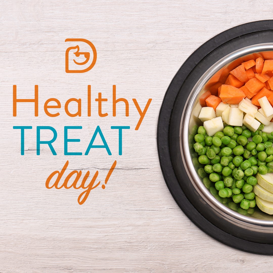 Healthy Treat Day - Downtown D.C.