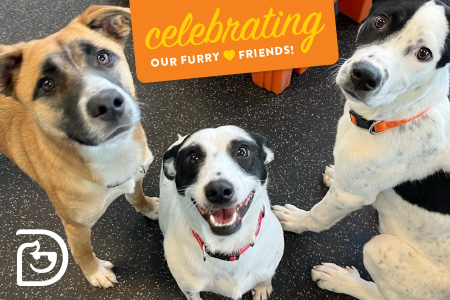 National Pet Parents Day - Navy Yard