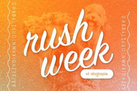 Rush Week - Navy Yard