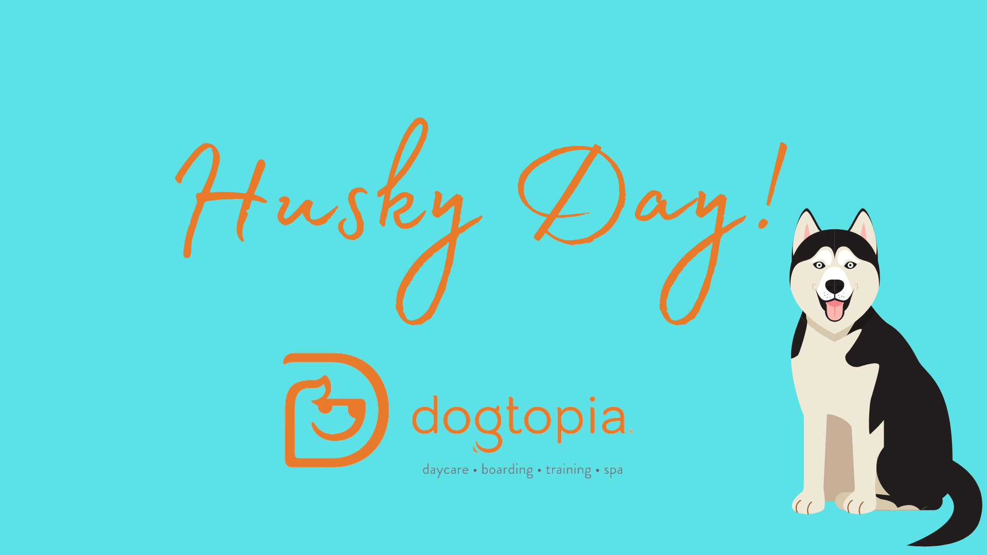 Husky Day! - Milford