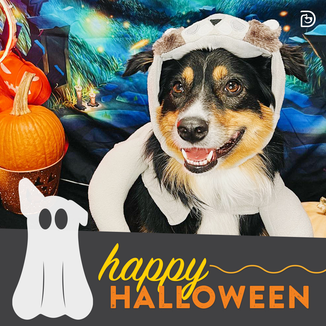 Costume Contest/Photo Shoot - Union