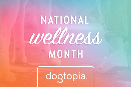 National wellness Month - Union