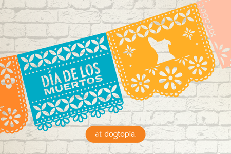 Dia De Los Muertos - Union