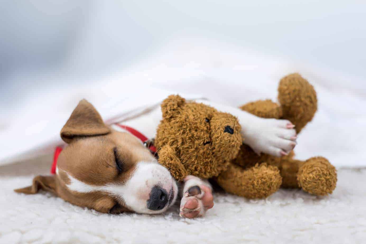 National Napping Day! - Plymouth