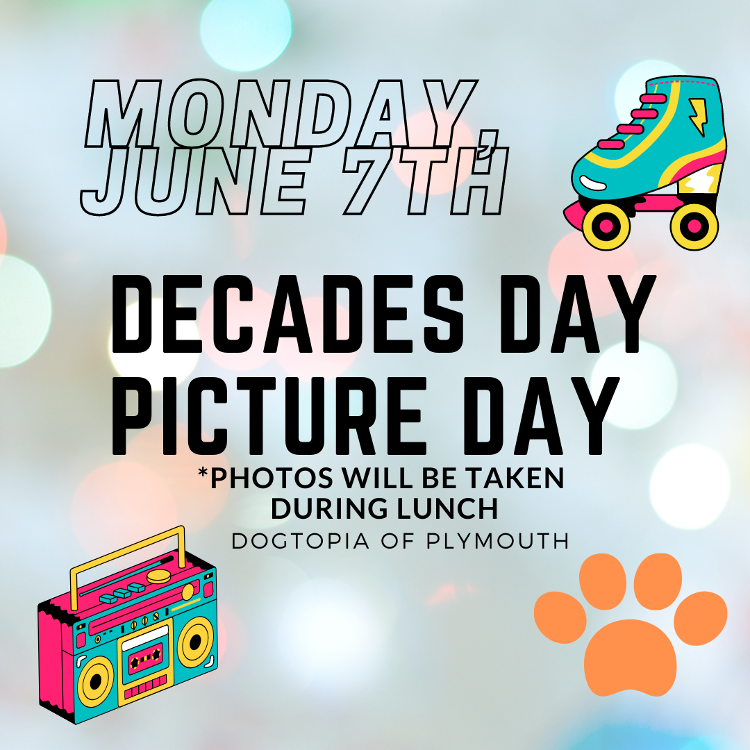 Decades Day Picture Day - Plymouth