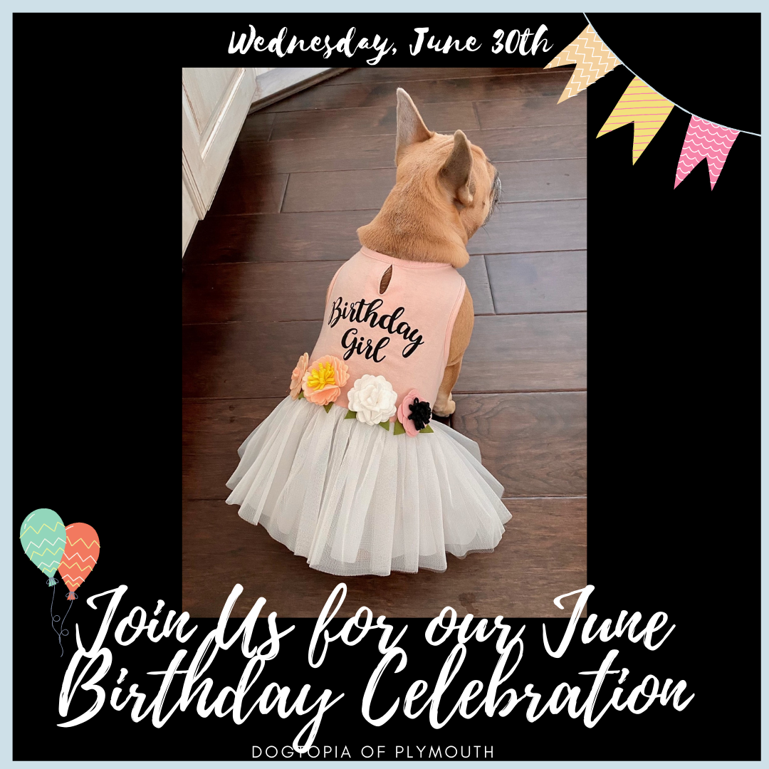 June Birthday Celebration - Plymouth