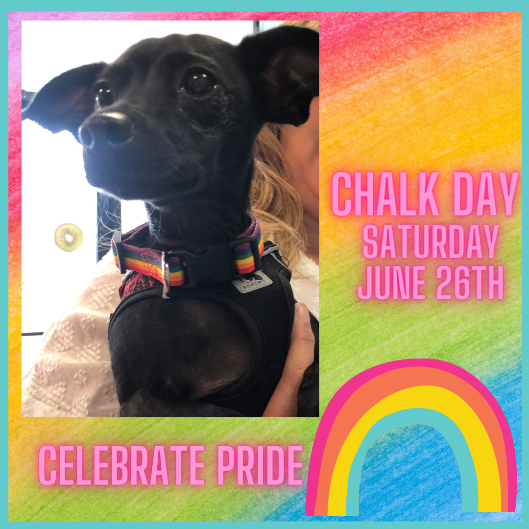 Happy Pride Month! Chalk Day - Plymouth