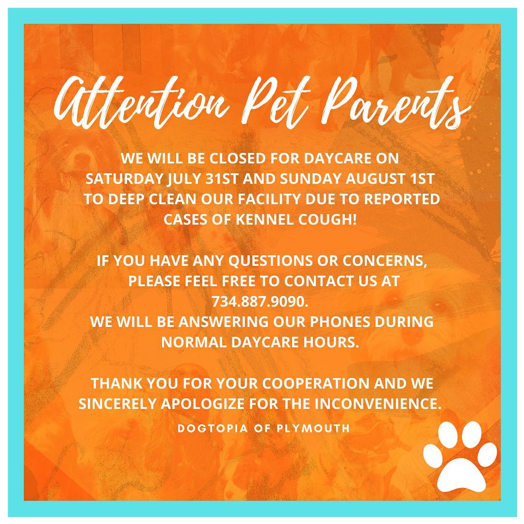 Closed for Weekend Daycare - Plymouth