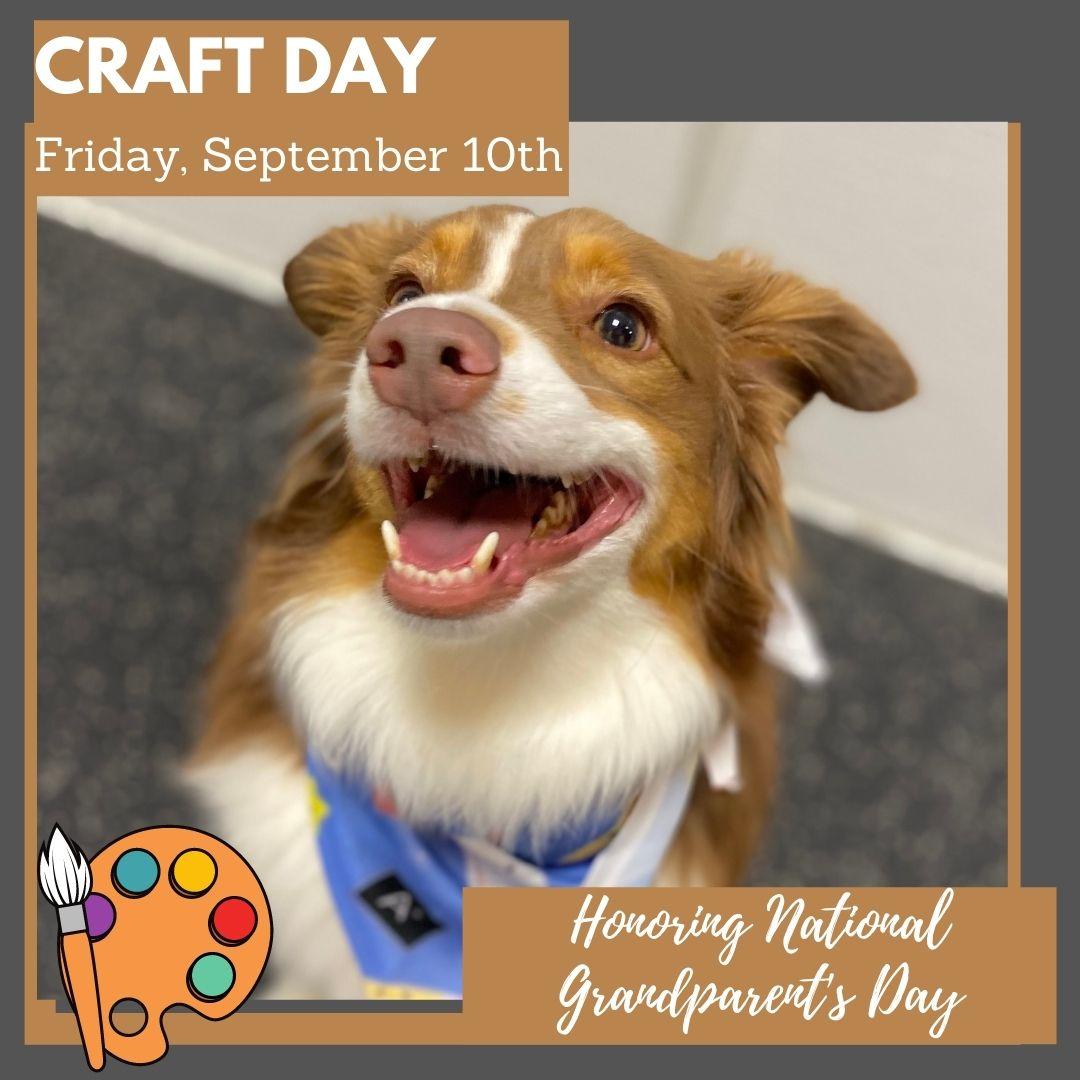 Grandparents Day Craft Day - Plymouth