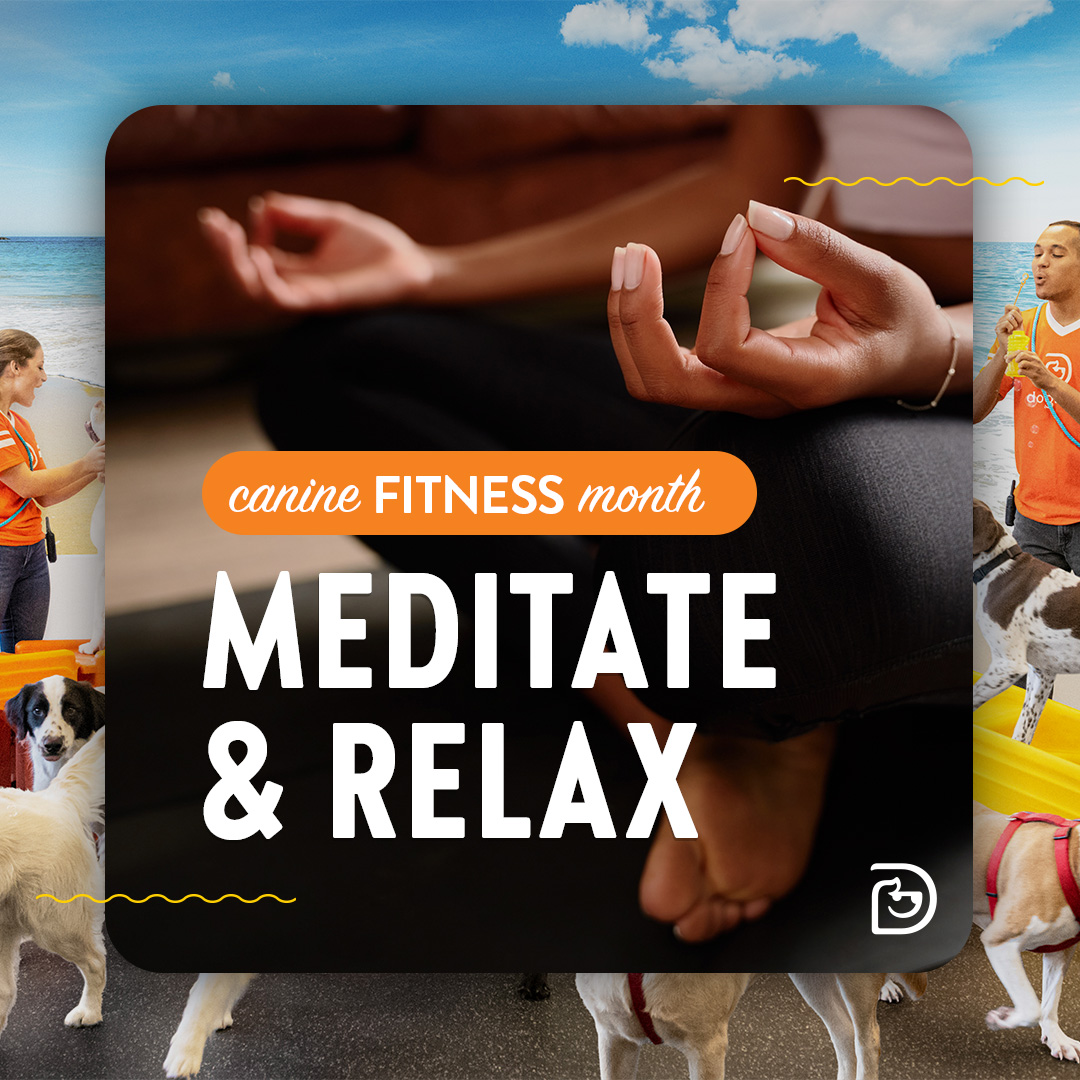 National Fitness Month - Meditate and Relax - Belden-Canton