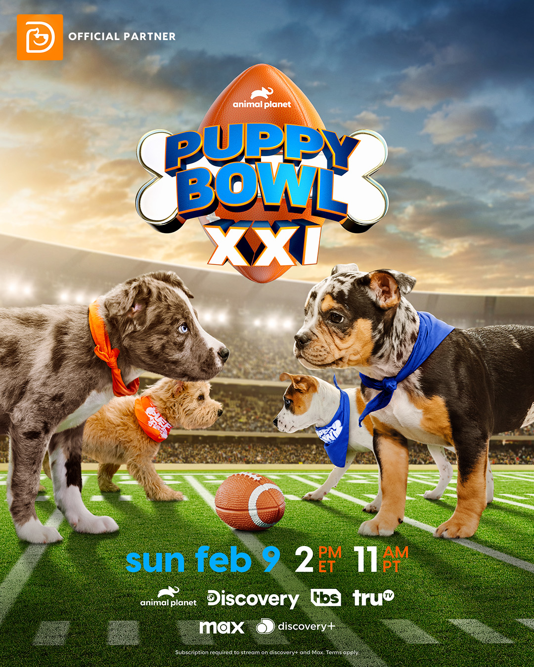 Ruff vs. Fluff Photo Party - Belden-Canton