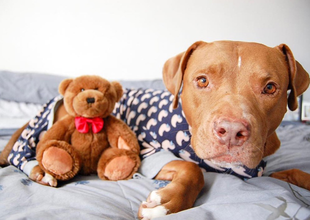 Sleepover PJ Party - Maplewood