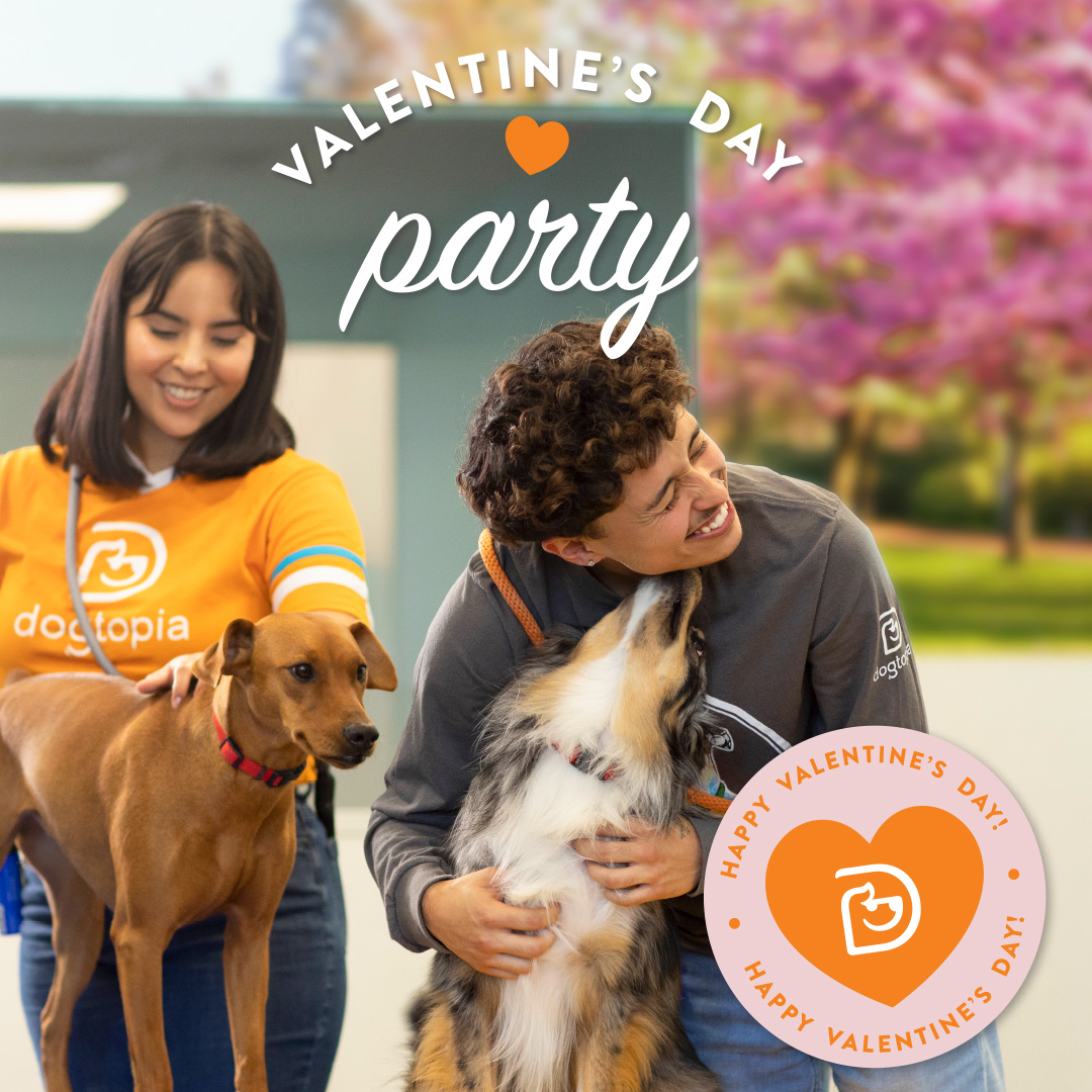 Valentine's Day Photos! (TOY) - Maplewood