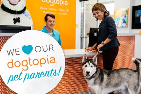 National Pet Parents Day! - Maplewood