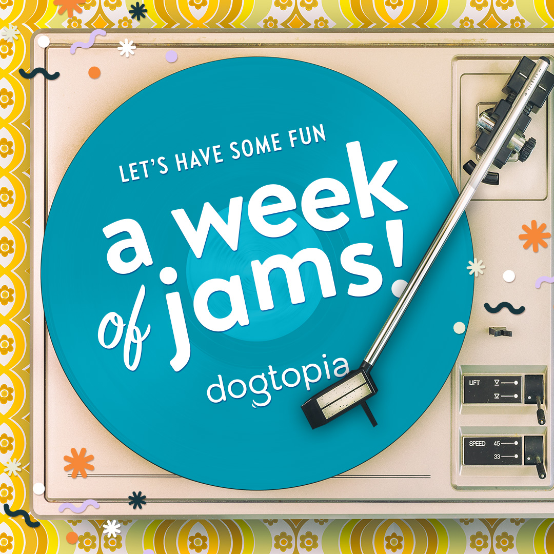 JAM WEEK: 70's Disco & Dance Party - Dogtopia, Dog Daycare