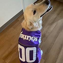 Spirit Week: Jersey Day - Dogtopia of Maplewood, Minnesota