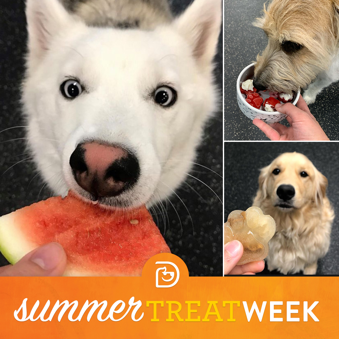 Summer Treat Week - Bethpage