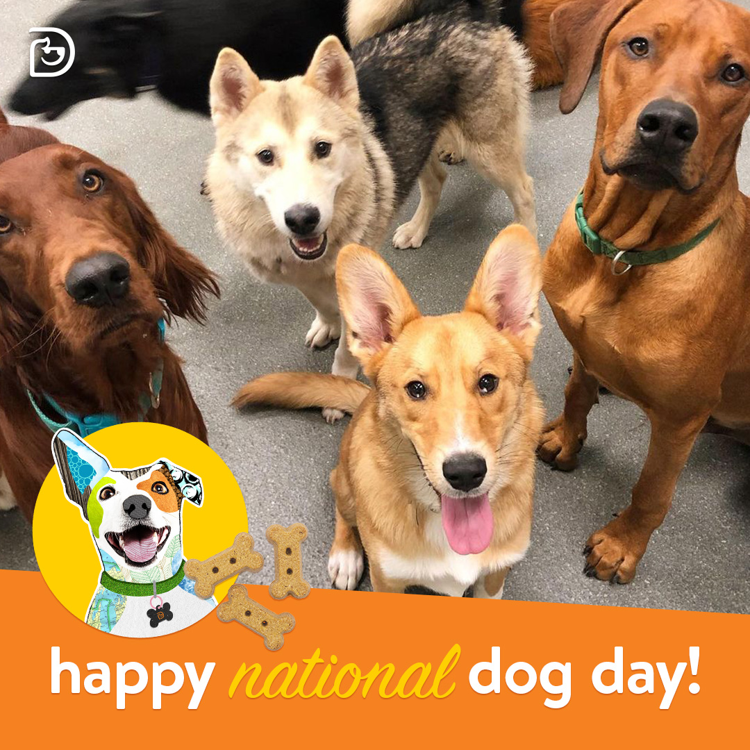 National Dog Day August 26 - Bethpage