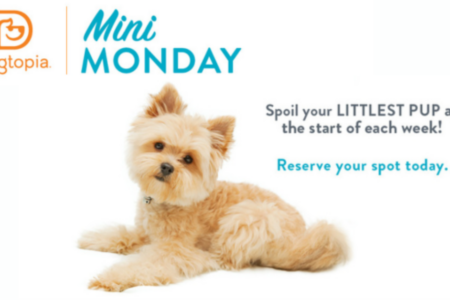 Mini Monday * September 8th - Bethpage