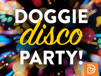 Disco Party! - Shrewsbury