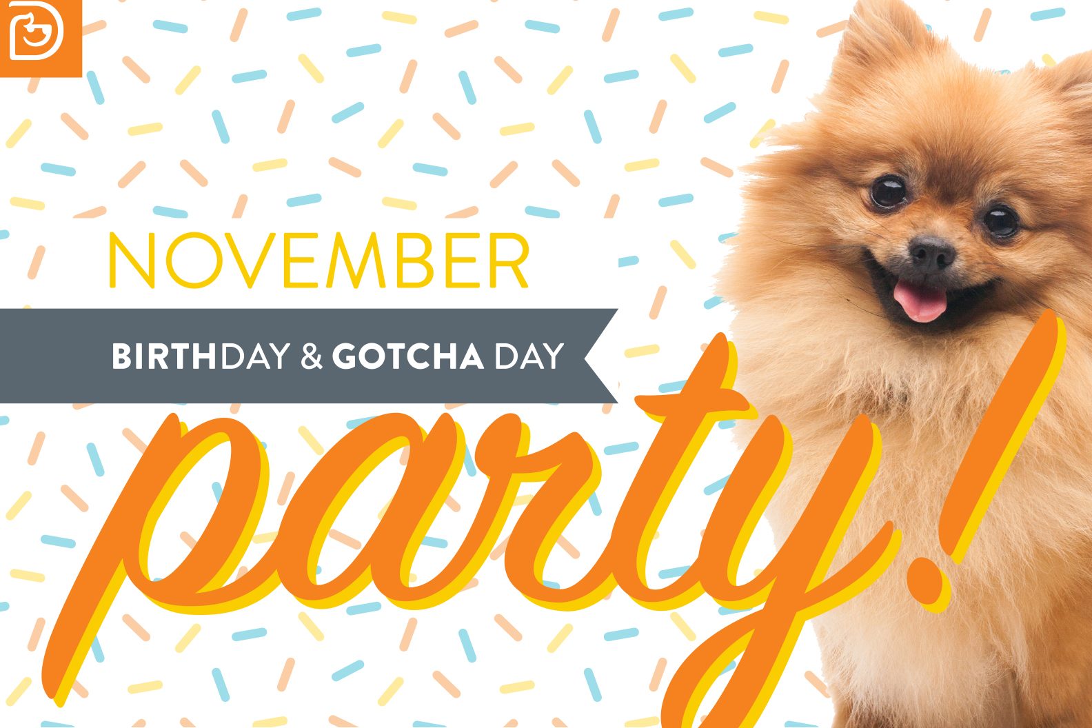 November Birthday Party! - Canton