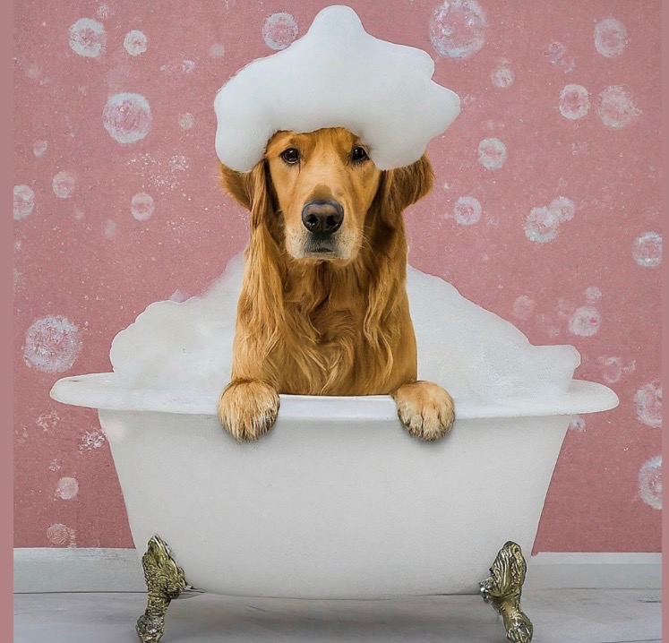 National Bubble Bath Day! - Greenwood