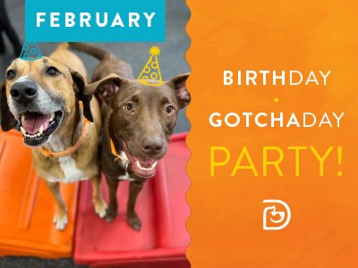 February Birthday/Gotcha Party! - Roanoke
