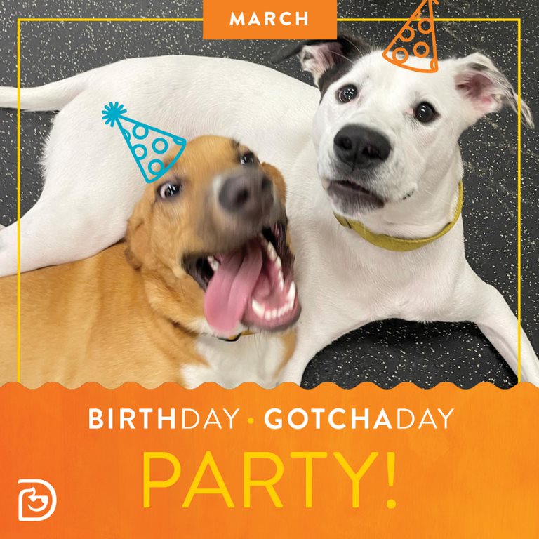 March Birthday/Gotcha Day Party! - Roanoke