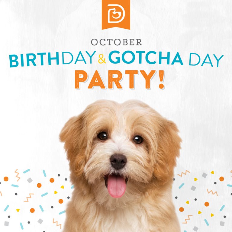 October Birthday/Gotcha Day Party! - Roanoke