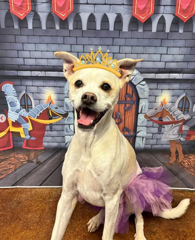 King and Queen Photoshoot! - Roanoke